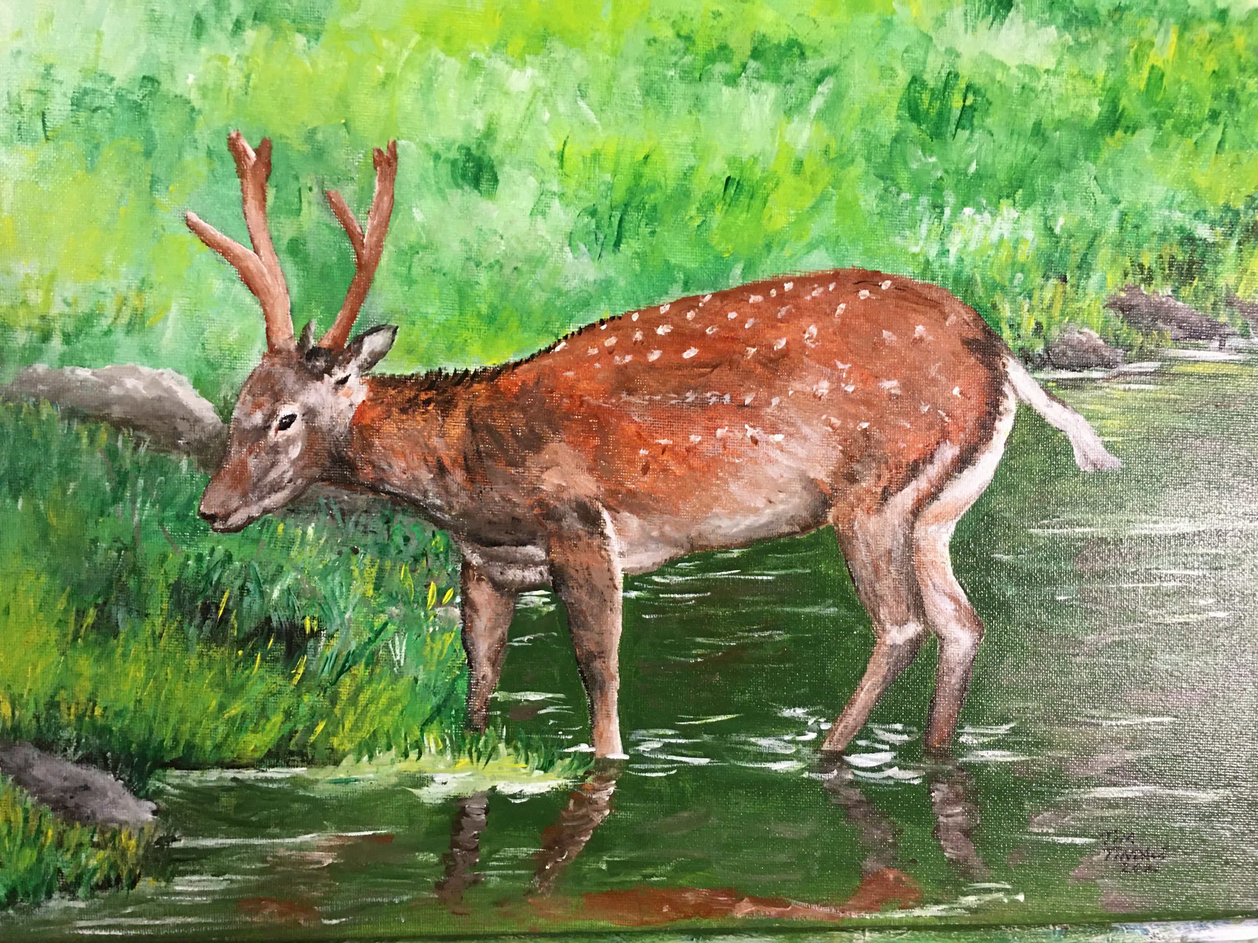 Tim Tindale ⋆ purpleturtlearts