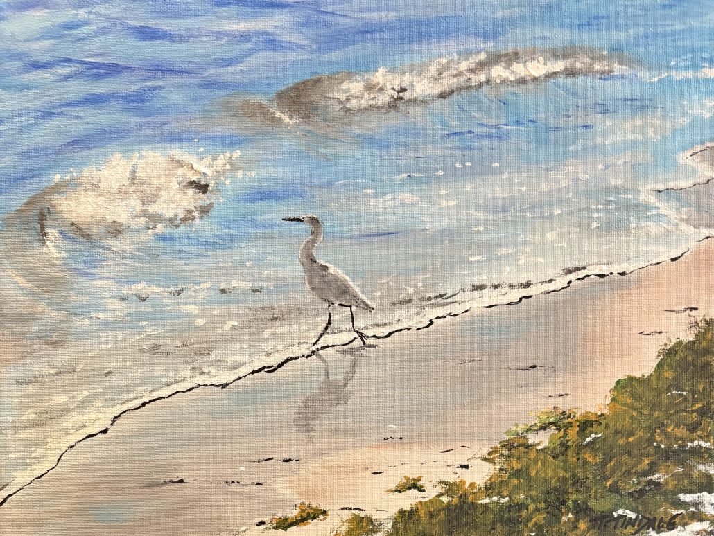 Tim Tindale ⋆ purpleturtlearts